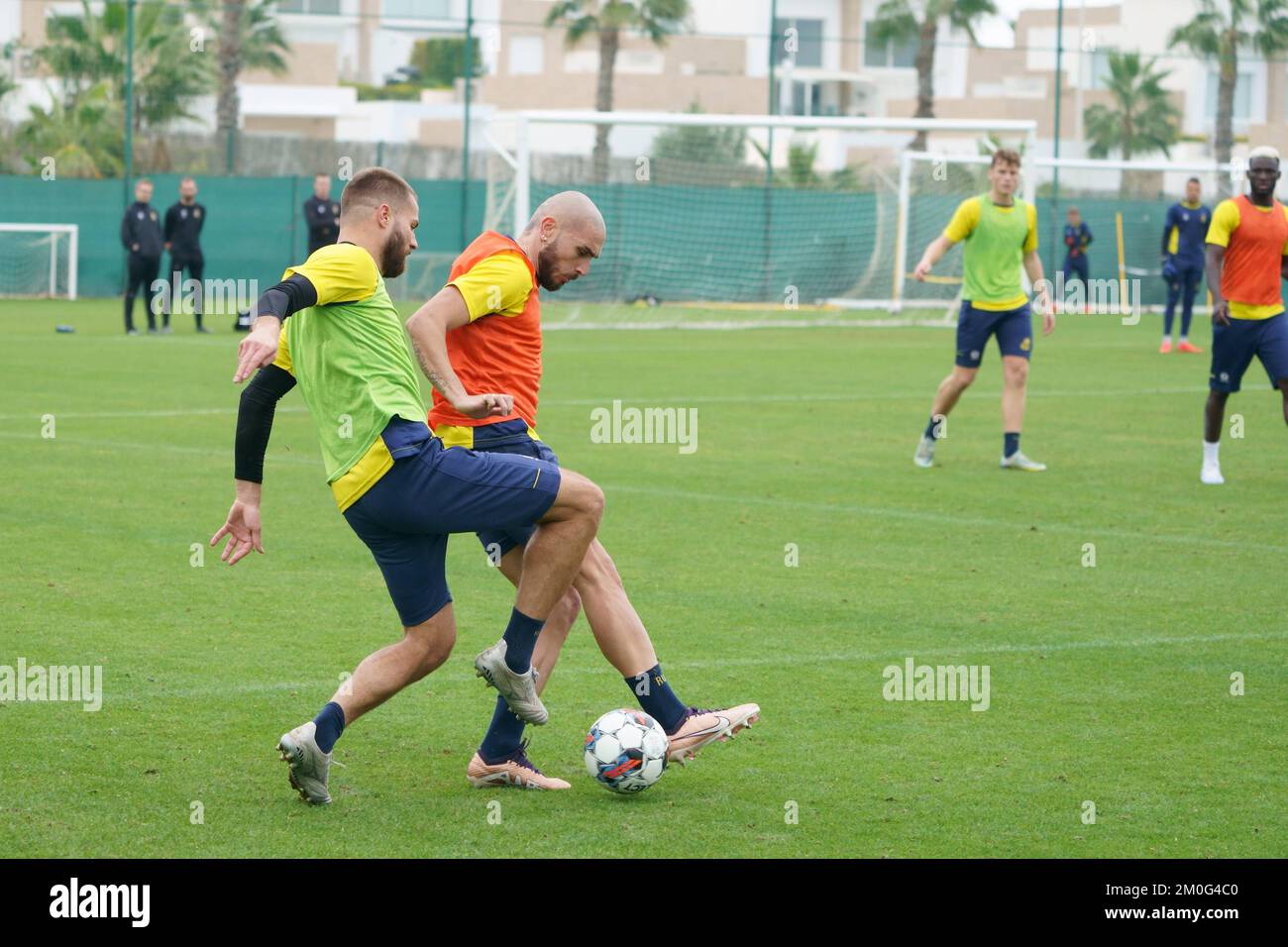 a training session at the winter training camp of Belgian first ...