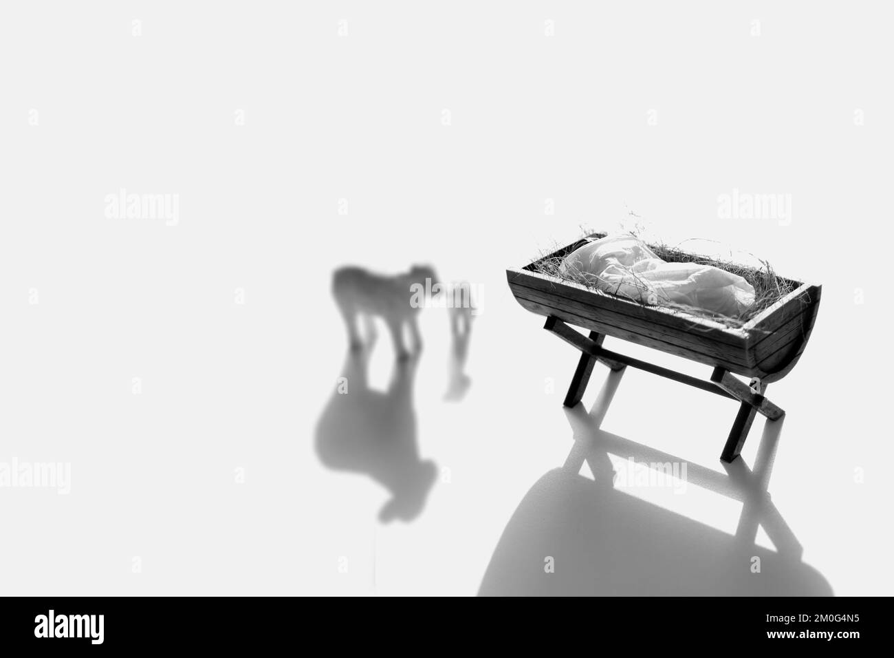 birth of baby jesus in the manger and lamb and christmas white ...