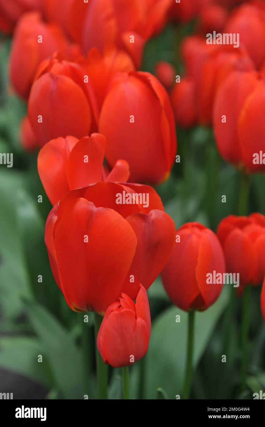 Worlds fire hi-res stock photography and images - Alamy