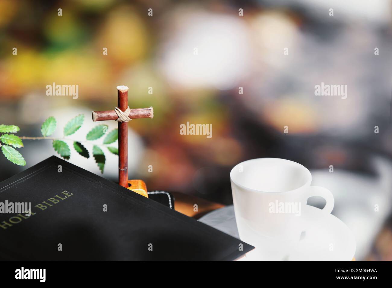 Shining coffee leaves hi-res stock photography and images - Alamy