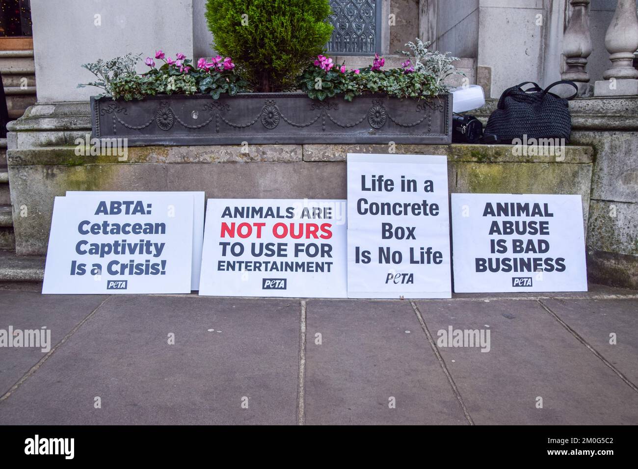 Animal captivity practices hi-res stock photography and images - Alamy