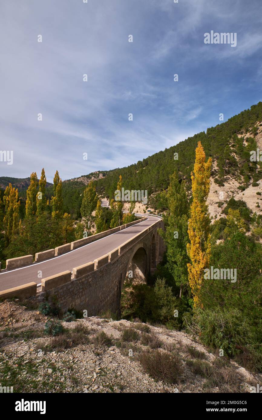 Trodden leaves hi-res stock photography and images - Alamy