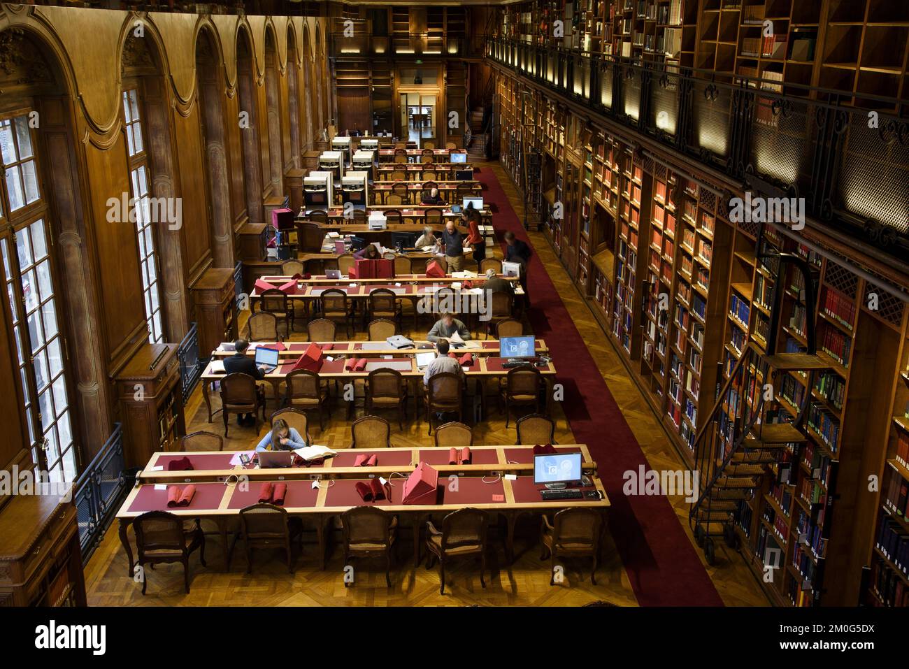 Bnf hi-res stock photography and images - Alamy