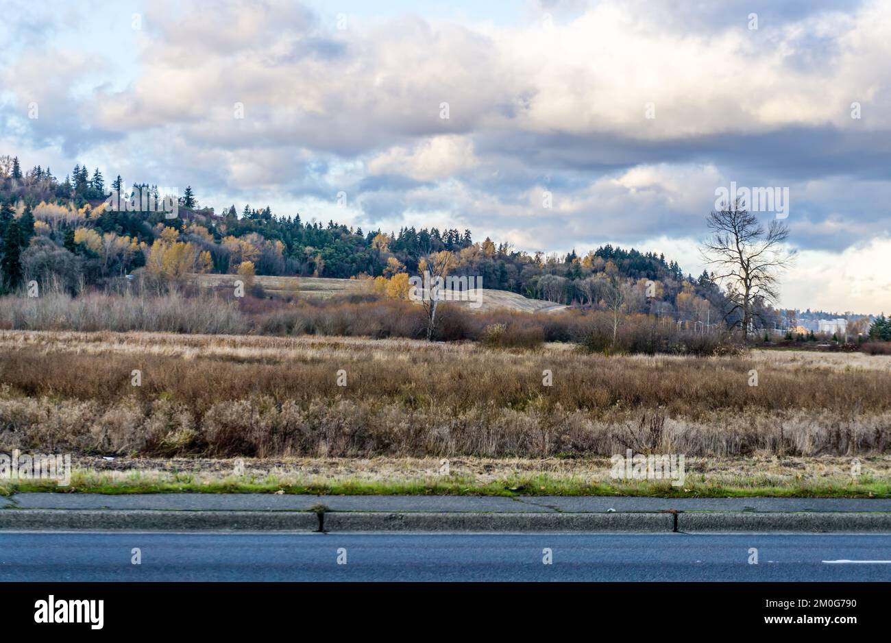 Autumn trees landscape in Kent, Washington Stock Photo - Alamy