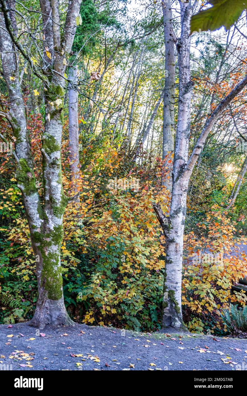 Seahurst park hi-res stock photography and images - Alamy