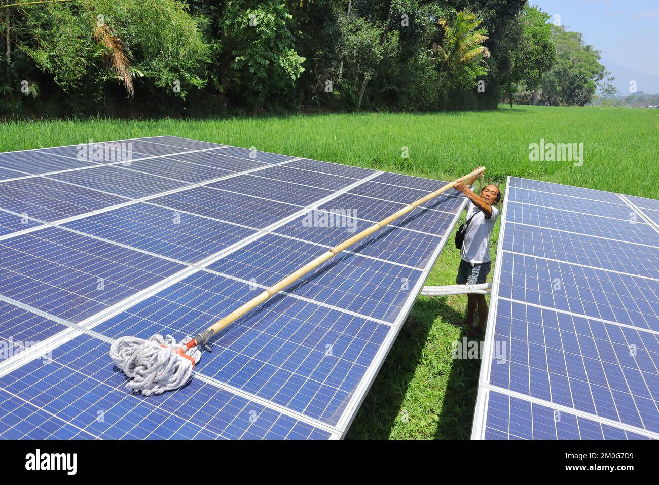 solar electricity to power the water pump in the rice fields Stock ...