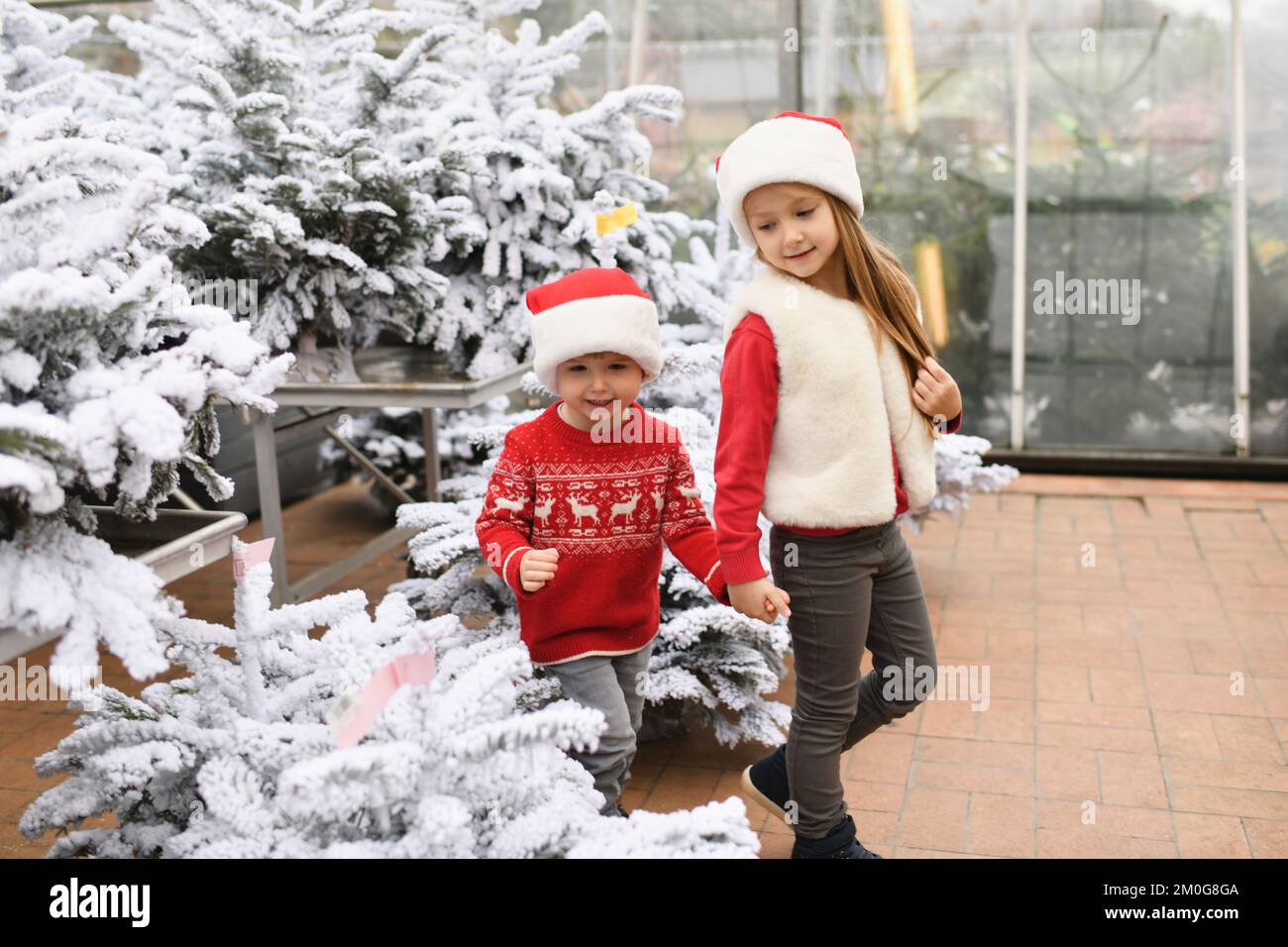 Children choose a Christmas tree in a shop Stock Photo - Alamy