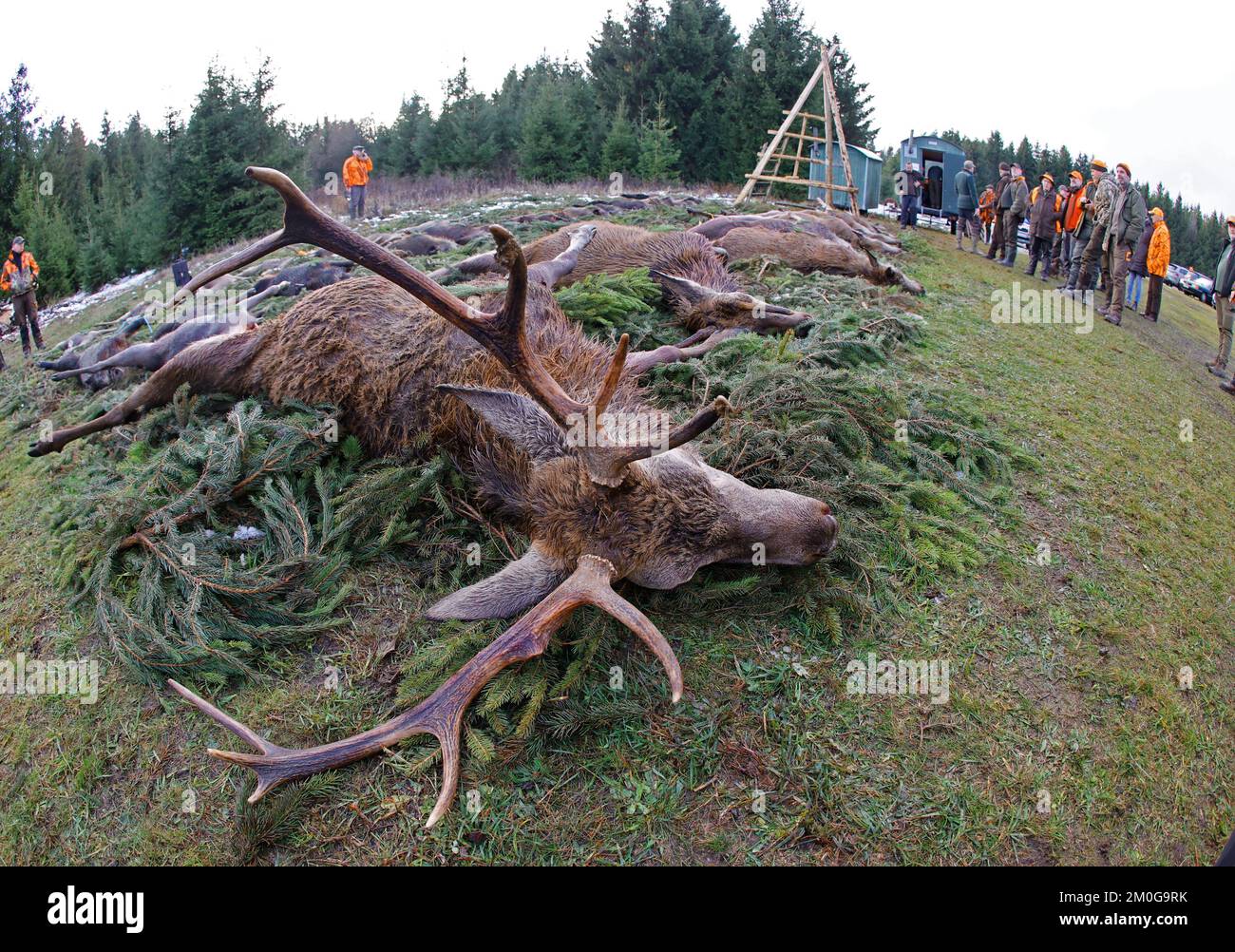 Upper hunts hi-res stock photography and images - Alamy