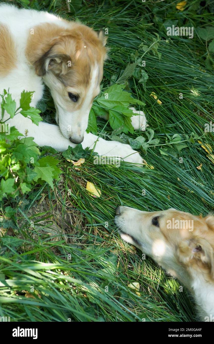 Pontida hi-res stock photography and images - Alamy