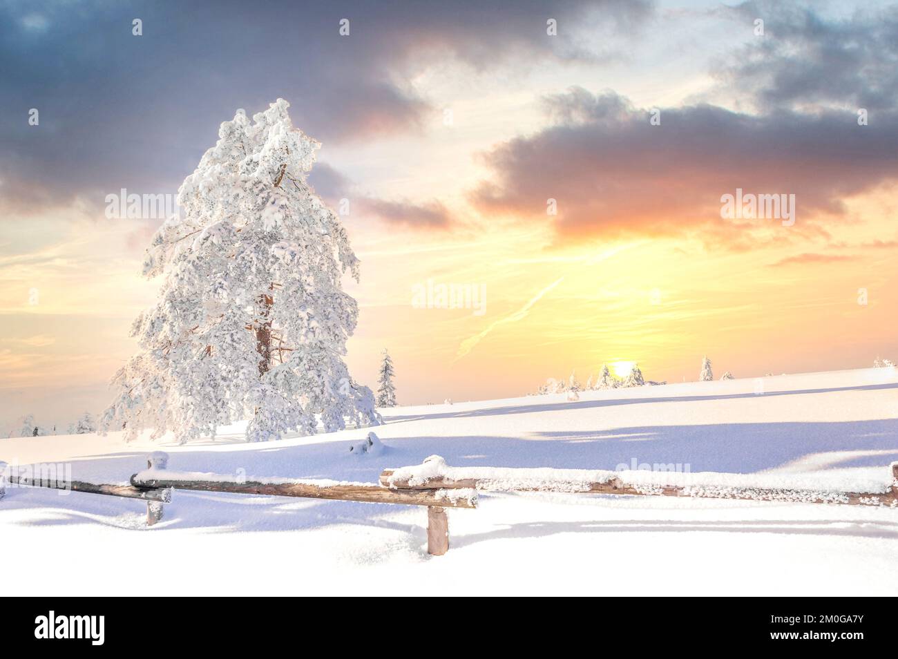 Black Forest, winter landscape, germany Stock Photo - Alamy