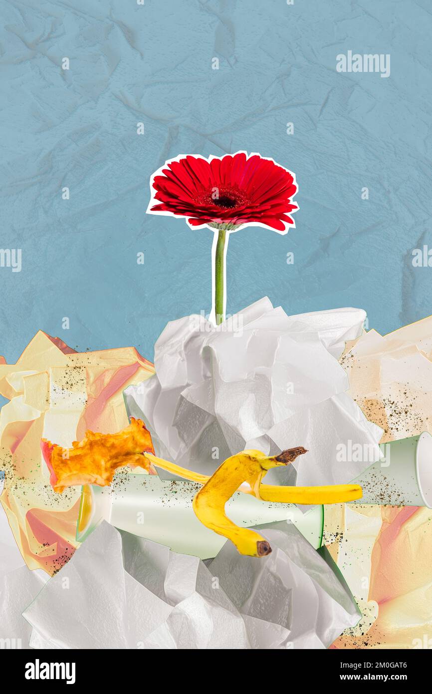 Collage photo ecology catastrophe growing little red flower between ...