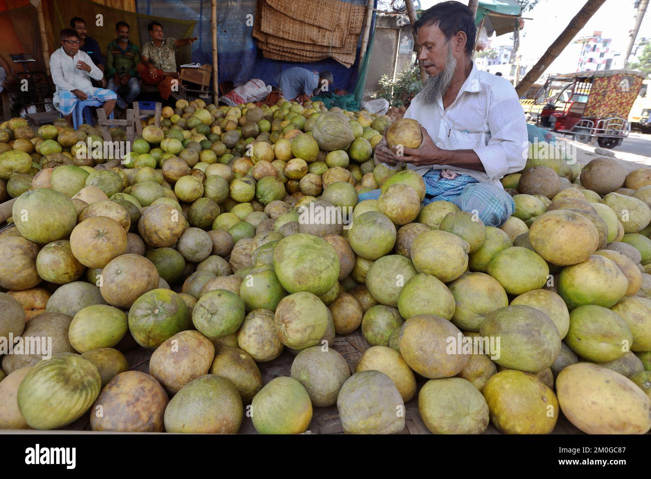 Dhaka, Bangladesh - November 07, 2022: A vendor is selling Pomelo fruit at the Hazaribagh fruits ...
