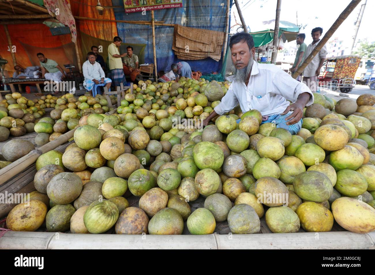 Dhaka, Bangladesh - November 07, 2022: A vendor is selling Pomelo fruit ...