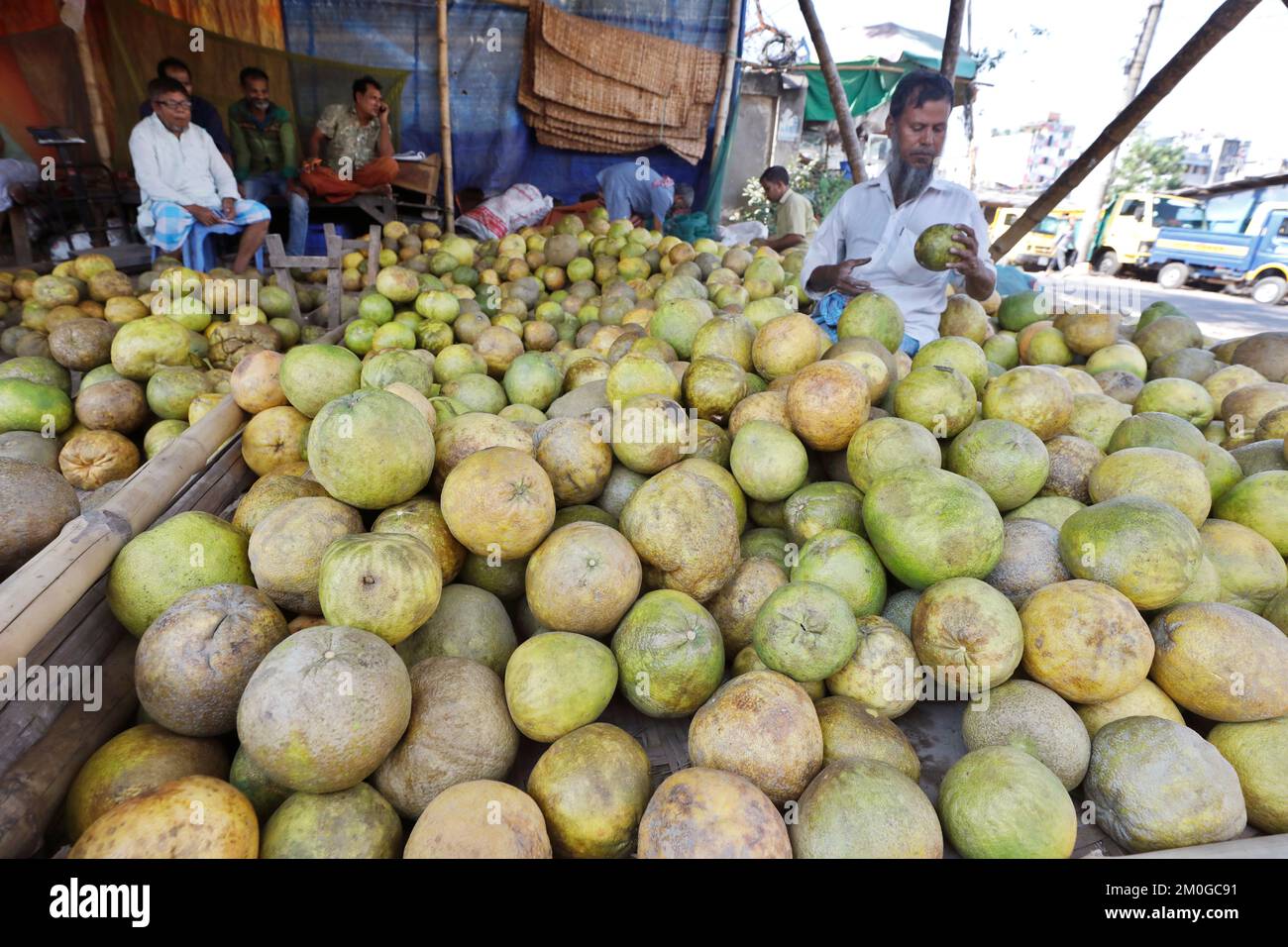 Dhaka, Bangladesh - November 07, 2022: A vendor is selling Pomelo fruit at the Hazaribagh fruits ...