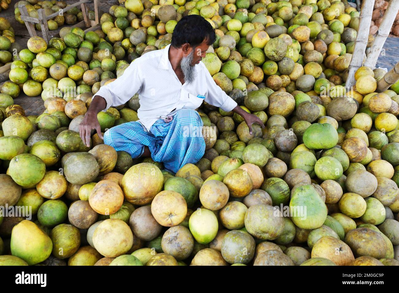 Dhaka, Bangladesh - November 07, 2022: A vendor is selling Pomelo fruit ...