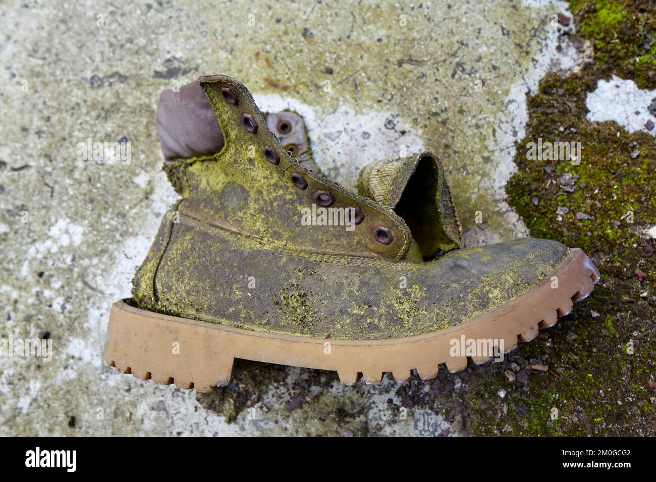 Old discarded shoe close-up Stock Photo - Alamy