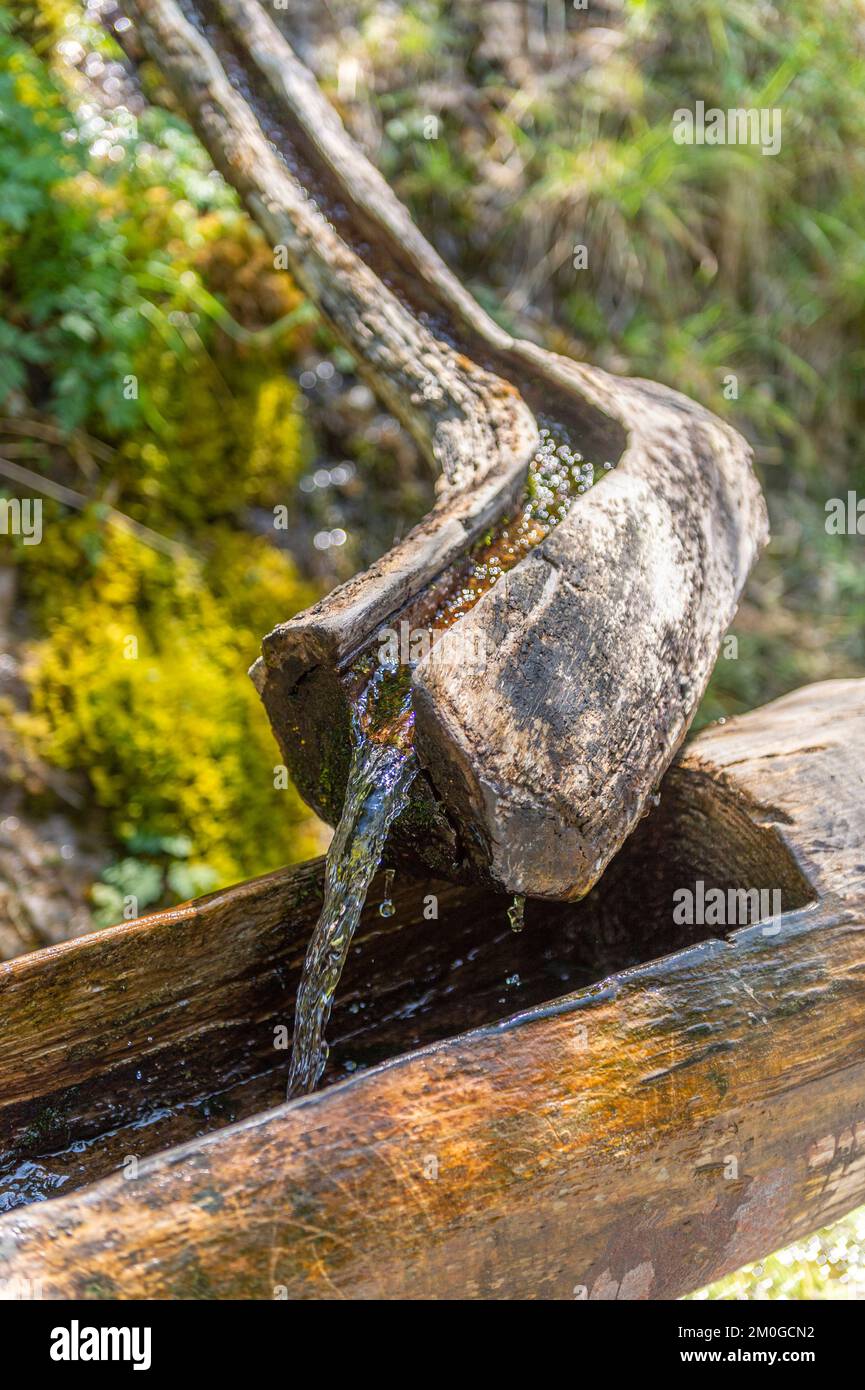 Driking water hi-res stock photography and images - Alamy