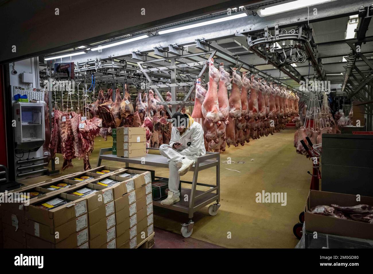 Workers in the meat pavillion at the Rungis International wholesale ...
