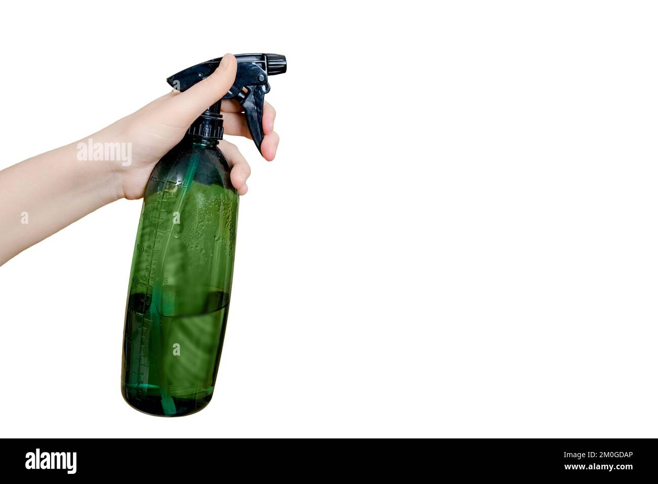 A woman sprays water on a potted plant from a plastic bottle, isolated ...