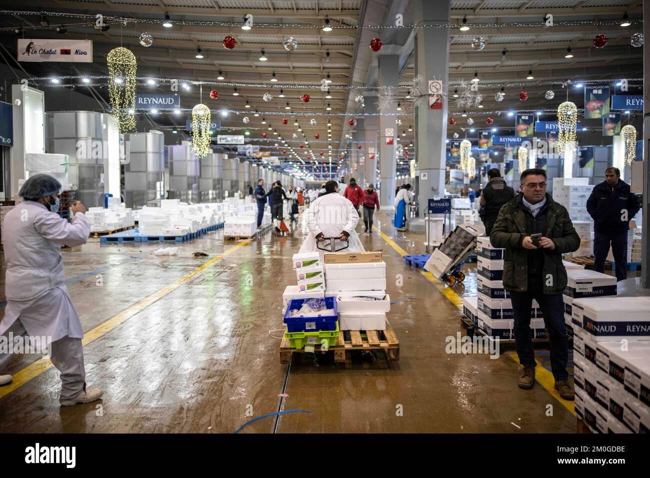 Staff work in the seafood pavilion at Rungis International wholesale ...