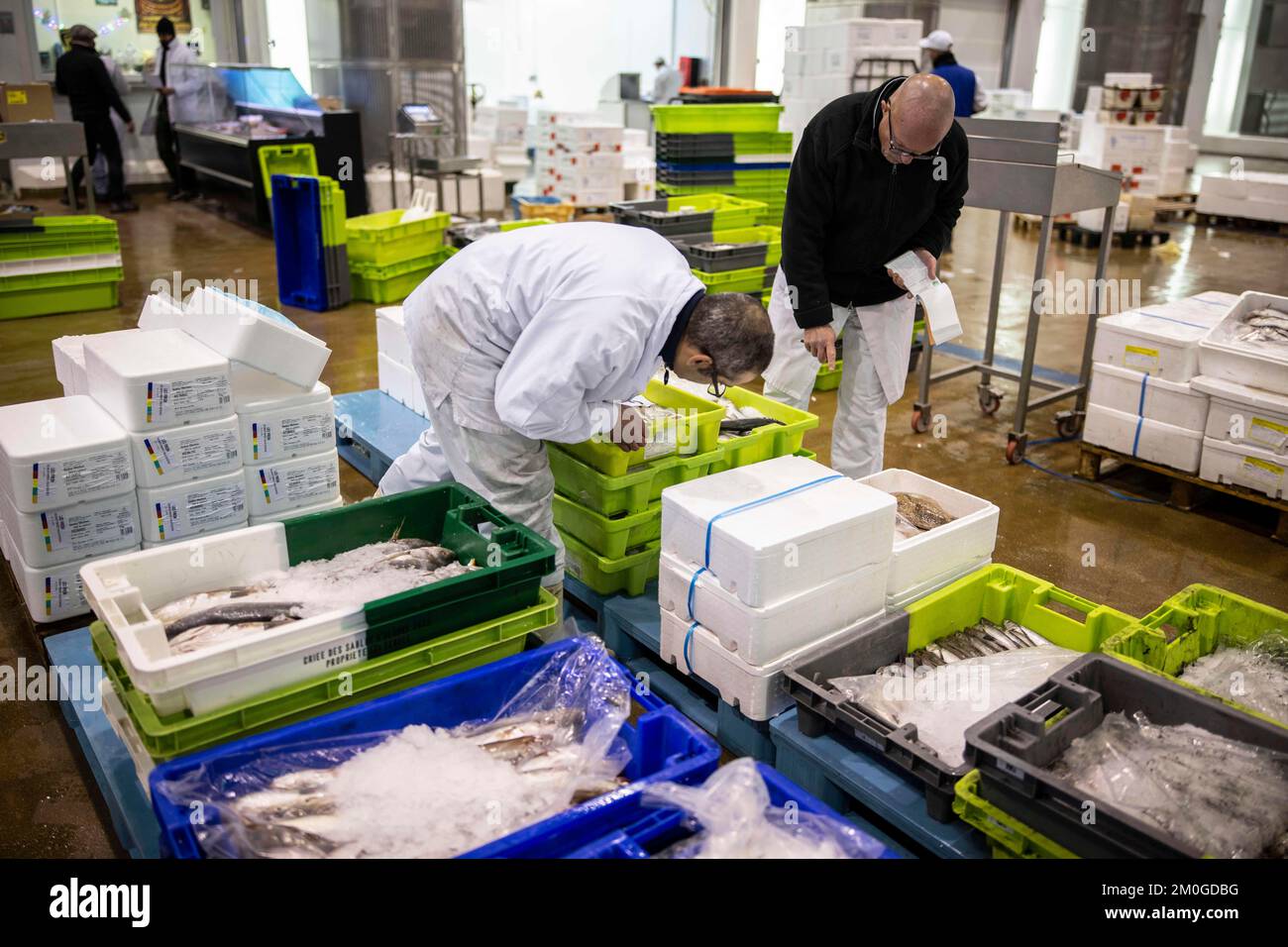 Staff work in the seafood pavilion at Rungis International wholesale ...