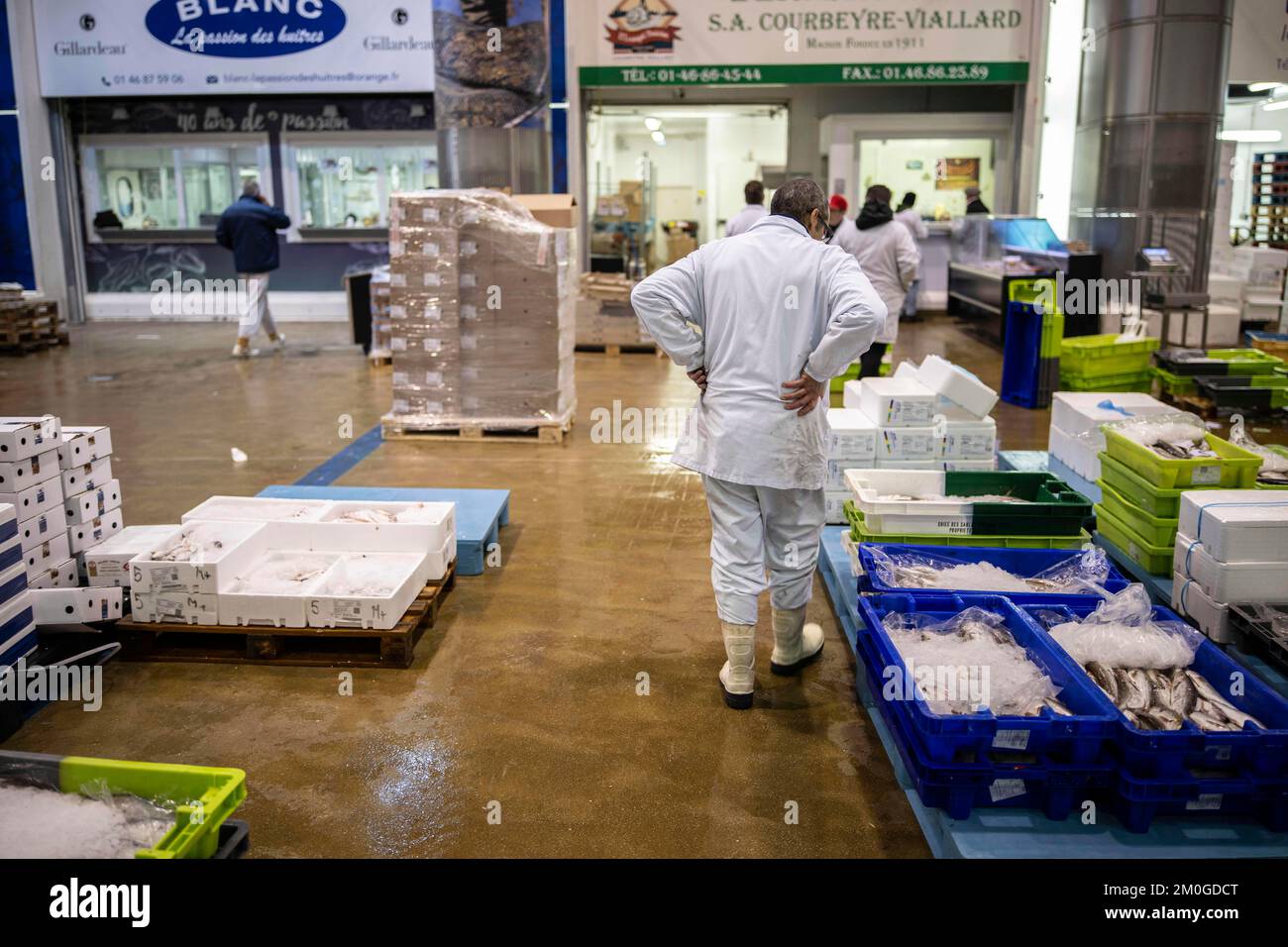Staff work in the seafood pavilion at Rungis International wholesale ...