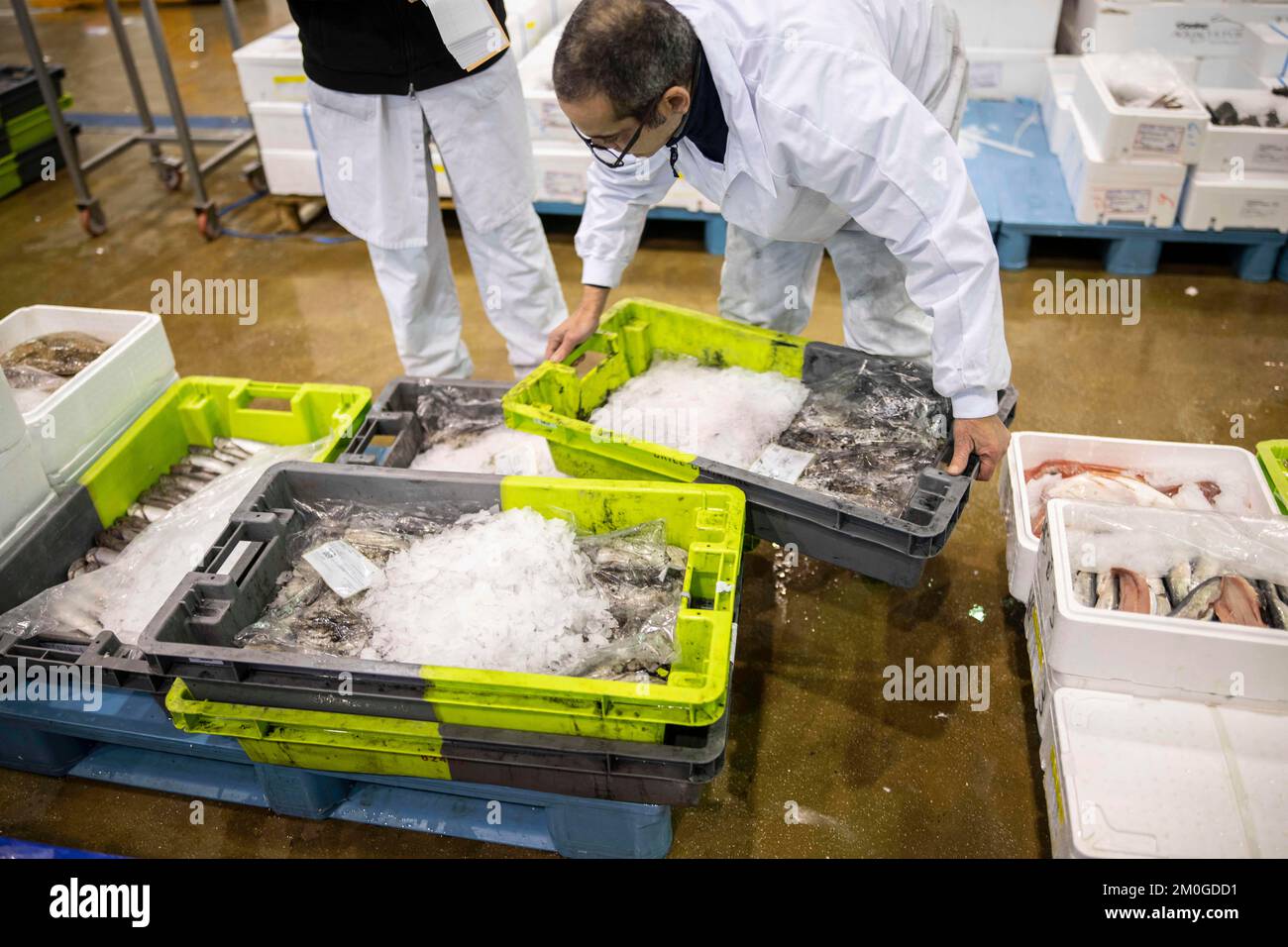 Staff work in the seafood pavilion at Rungis International wholesale ...