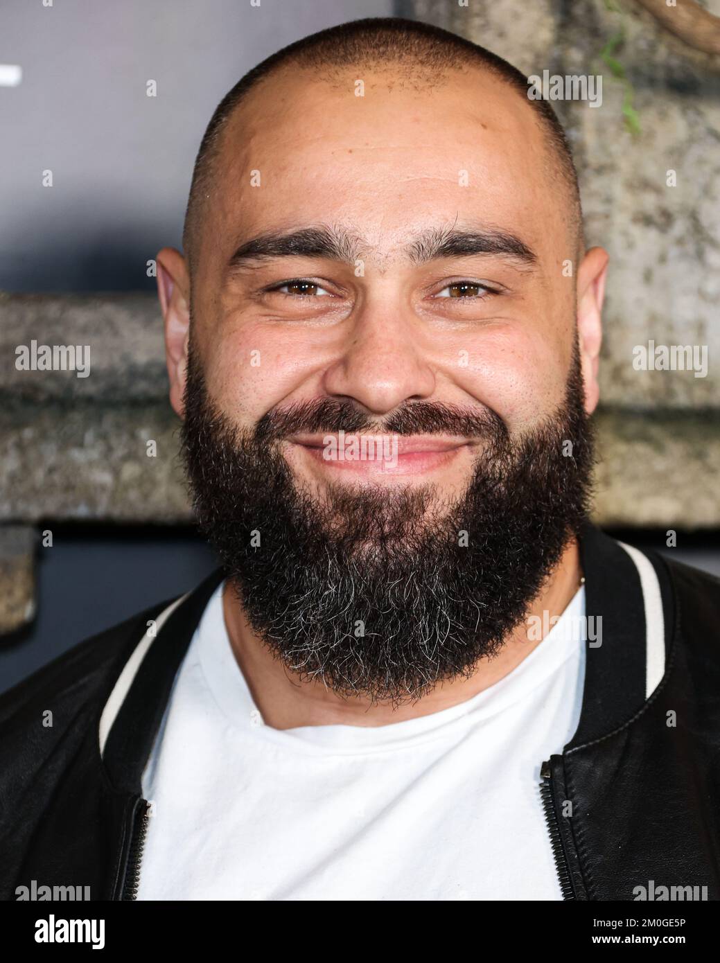 HOLLYWOOD, LOS ANGELES, CALIFORNIA, USA - DECEMBER 05: Miro (Miroslav ...