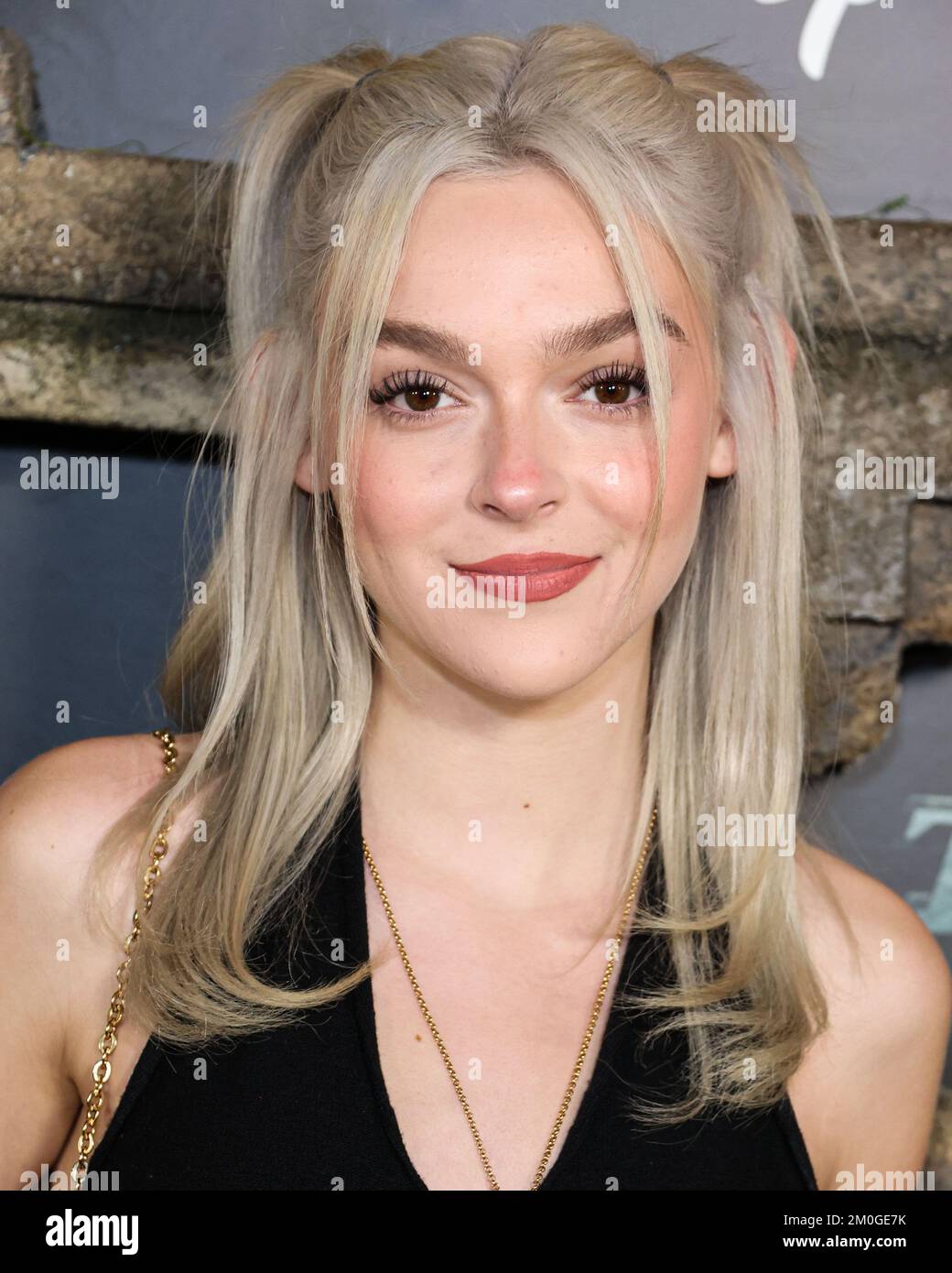 HOLLYWOOD, LOS ANGELES, CALIFORNIA, USA - DECEMBER 05: Sarah Dorothy ...