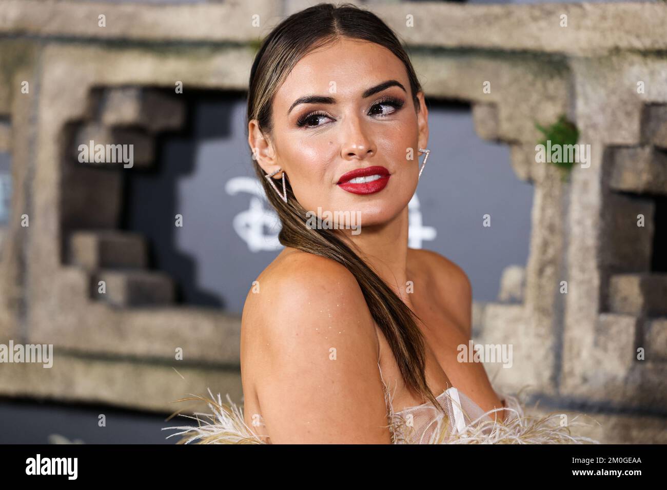 Hollywood, United States. 05th Dec, 2022. HOLLYWOOD, LOS ANGELES ...