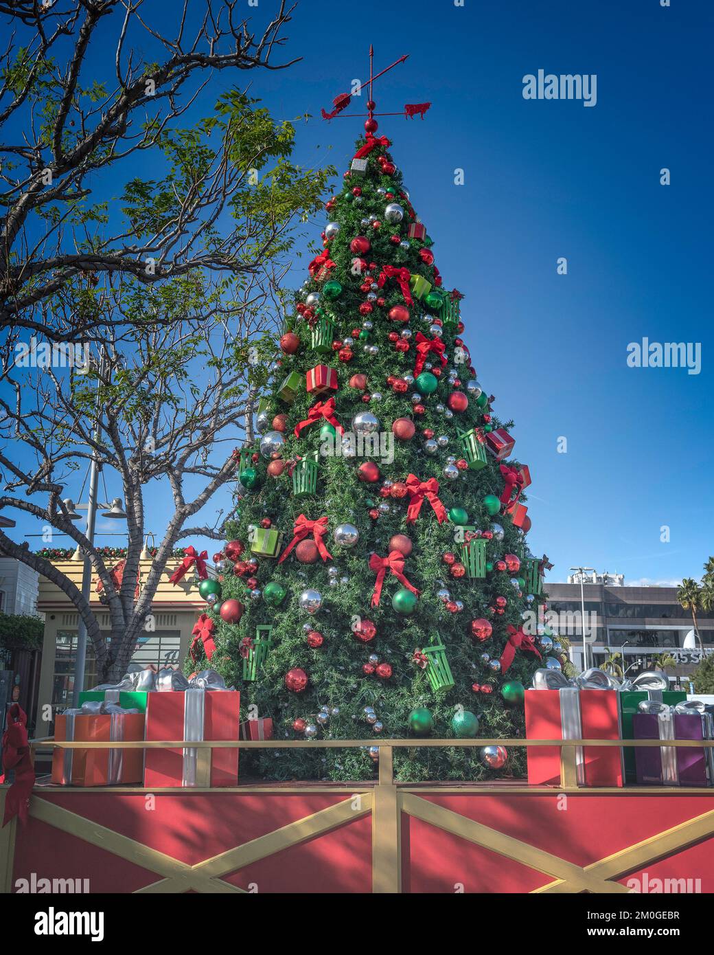 Large outdoor christmas tree hi-res stock photography and images - Alamy