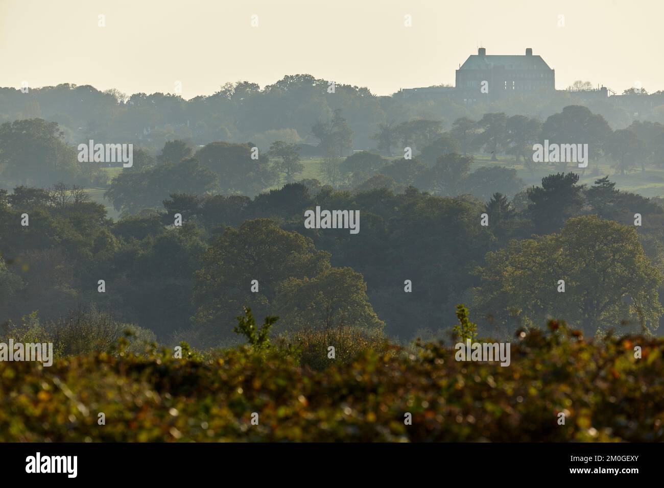 Darland's Nature reserve, Totteridge, London Stock Photo - Alamy