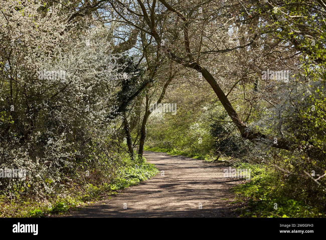 Folly brook hi-res stock photography and images - Alamy