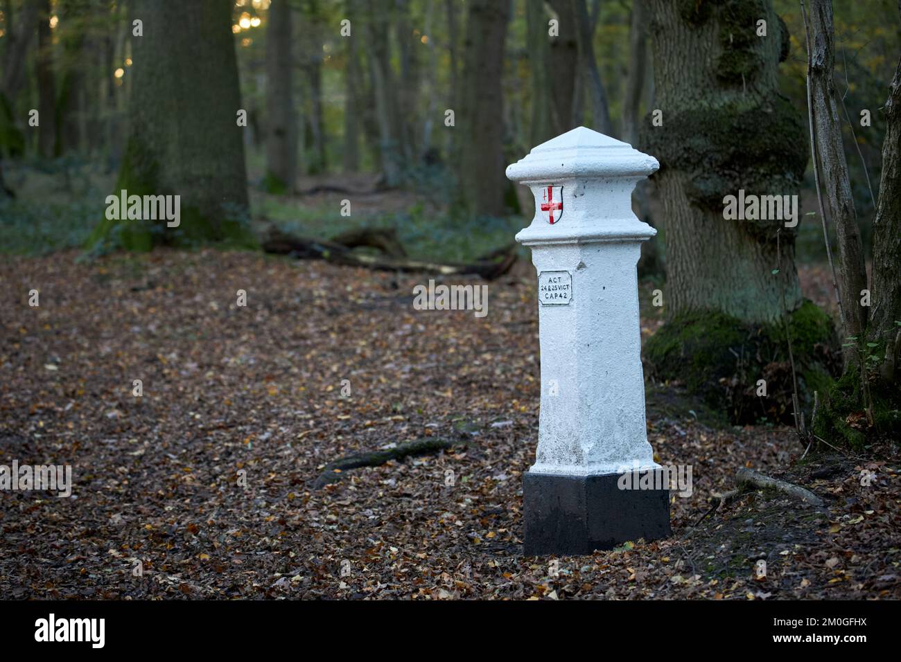 Coal tax post in Broxbourne woods Stock Photo - Alamy