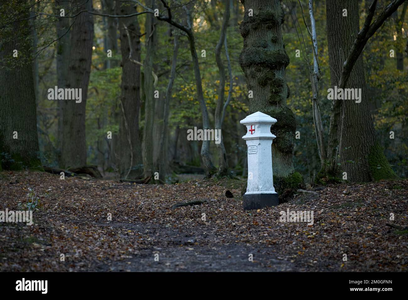 Coal tax post in Broxbourne woods Stock Photo - Alamy