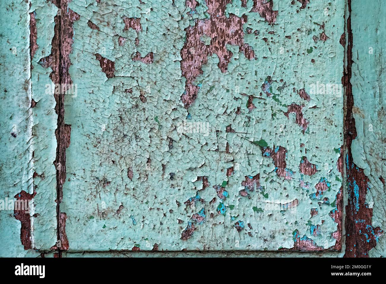 Colorful craquelure of the delaminated paint on wooden door background ...