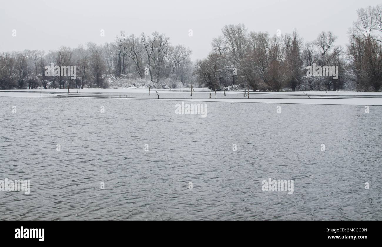 Danube river delta in winter. A panoramic view of the Danube river ...