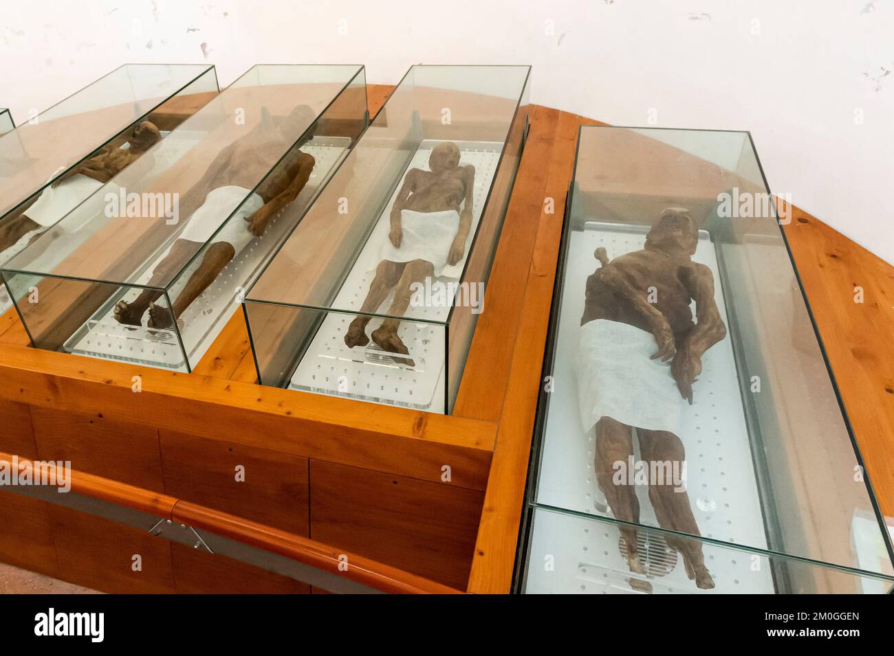 Mummies of venzone hi-res stock photography and images - Alamy