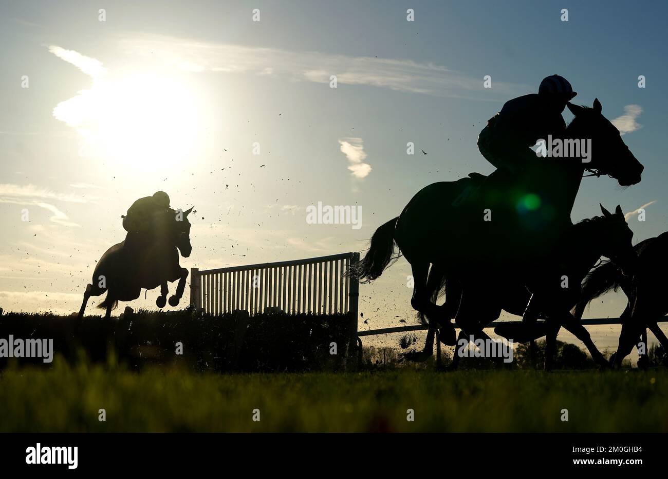 Runners and riders during Sky Sports Racing Sky 415 Mares' Novices ...