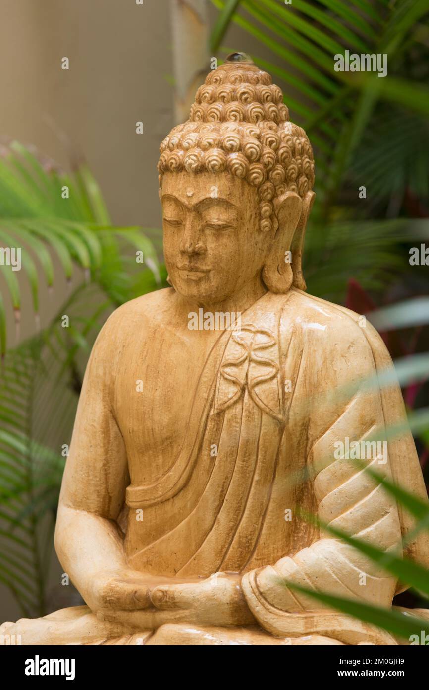 Buddah hand gesture hi-res stock photography and images - Alamy