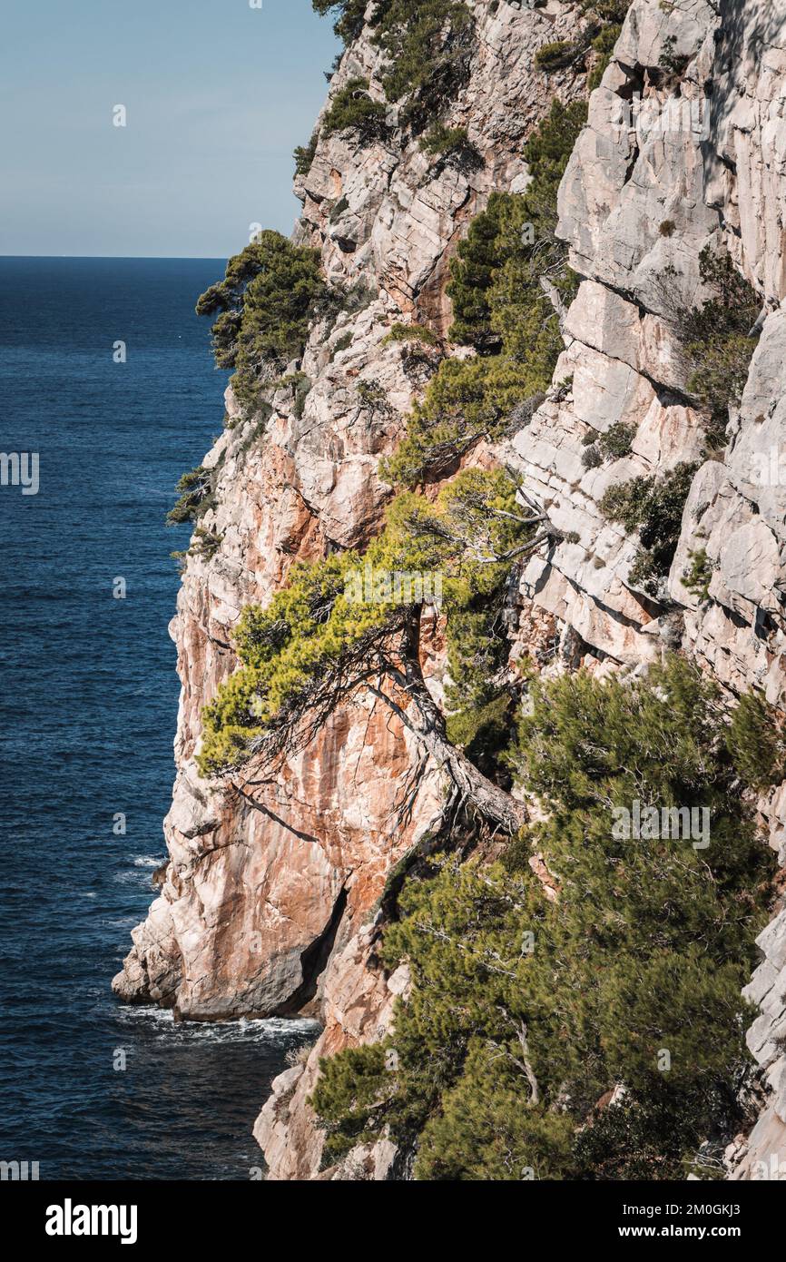 A vertical shot of the cliffs at Pasjaca Beach in Croatia, Popovici ...