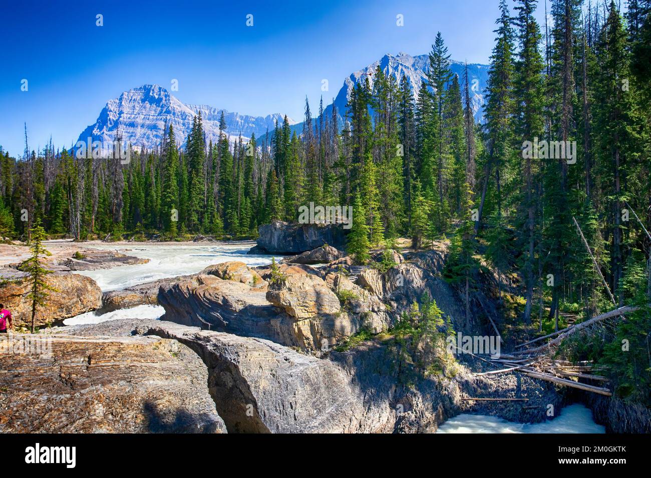 The Natural Bridge, Jasper National Park,Canadian Rockies Stock Photo ...