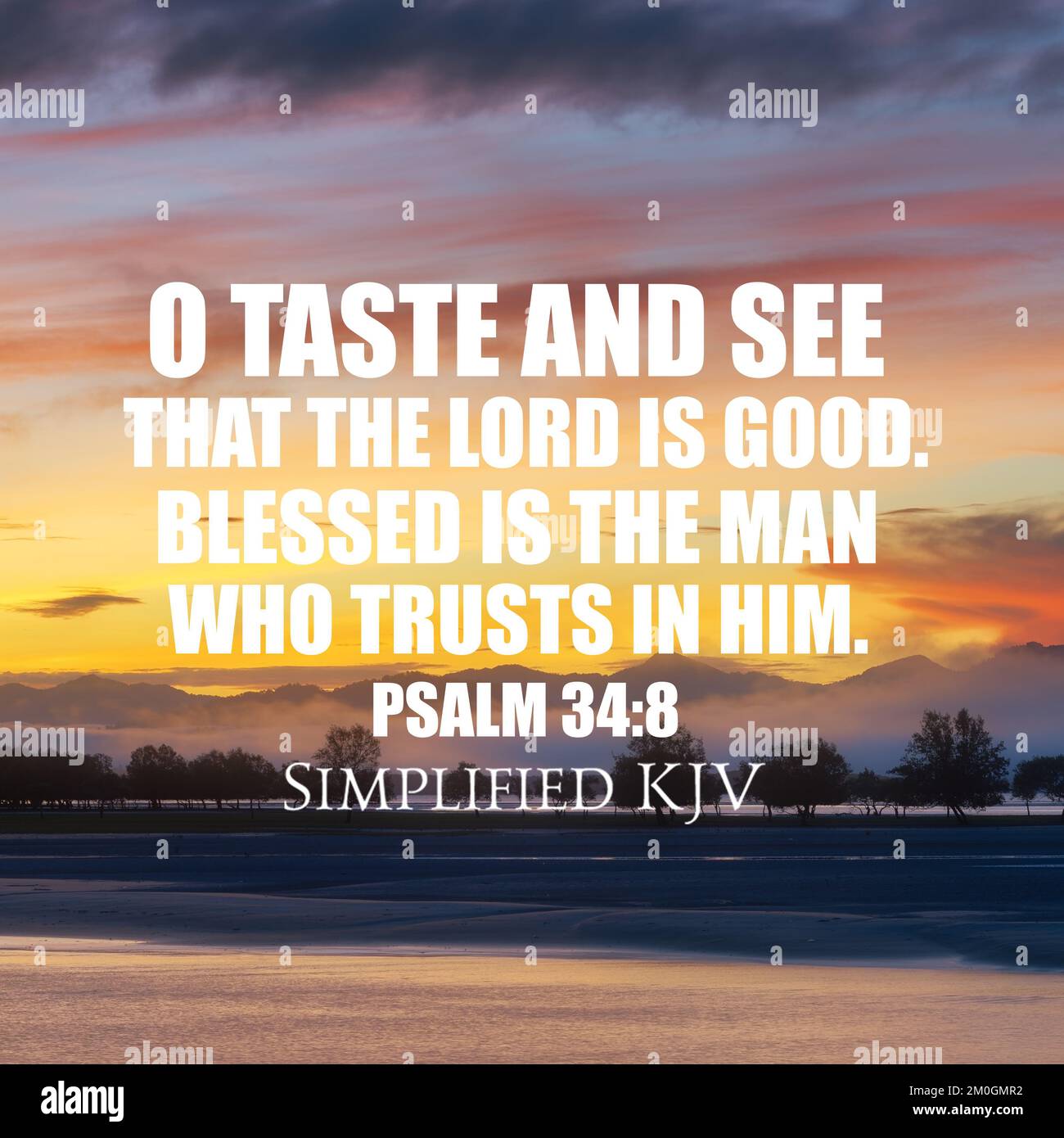A Christian Bible verse from Psalm 34:8 about God's goodness to the man that trusts in Him Stock ...