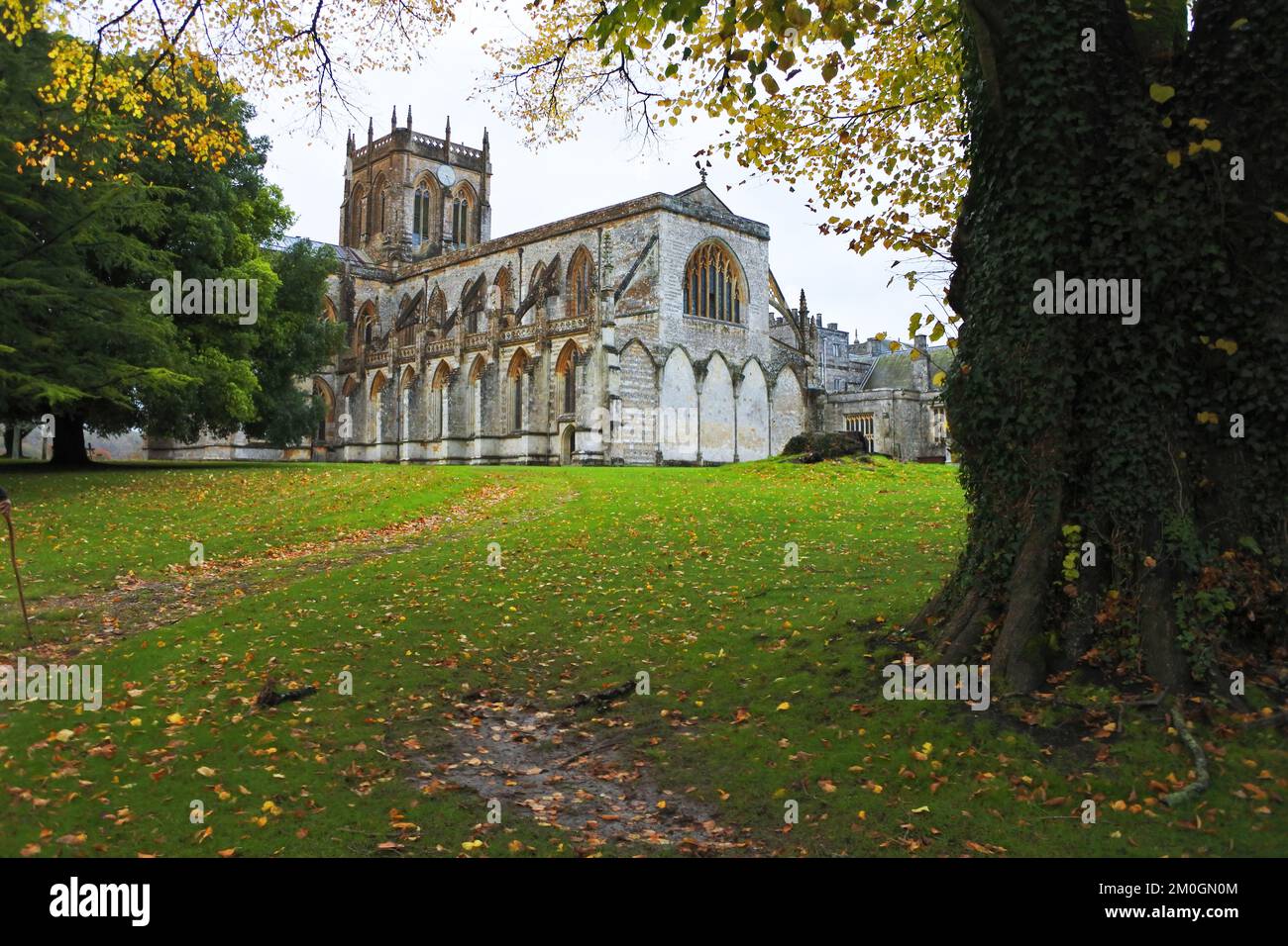 Exterior view of Milton Abbas Abbey Church, Dorset, UK - John Gollop ...