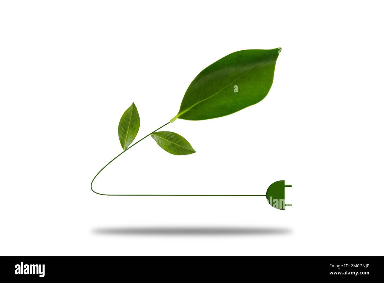 Green energy concept, leaf and plug on white background, nature and ...