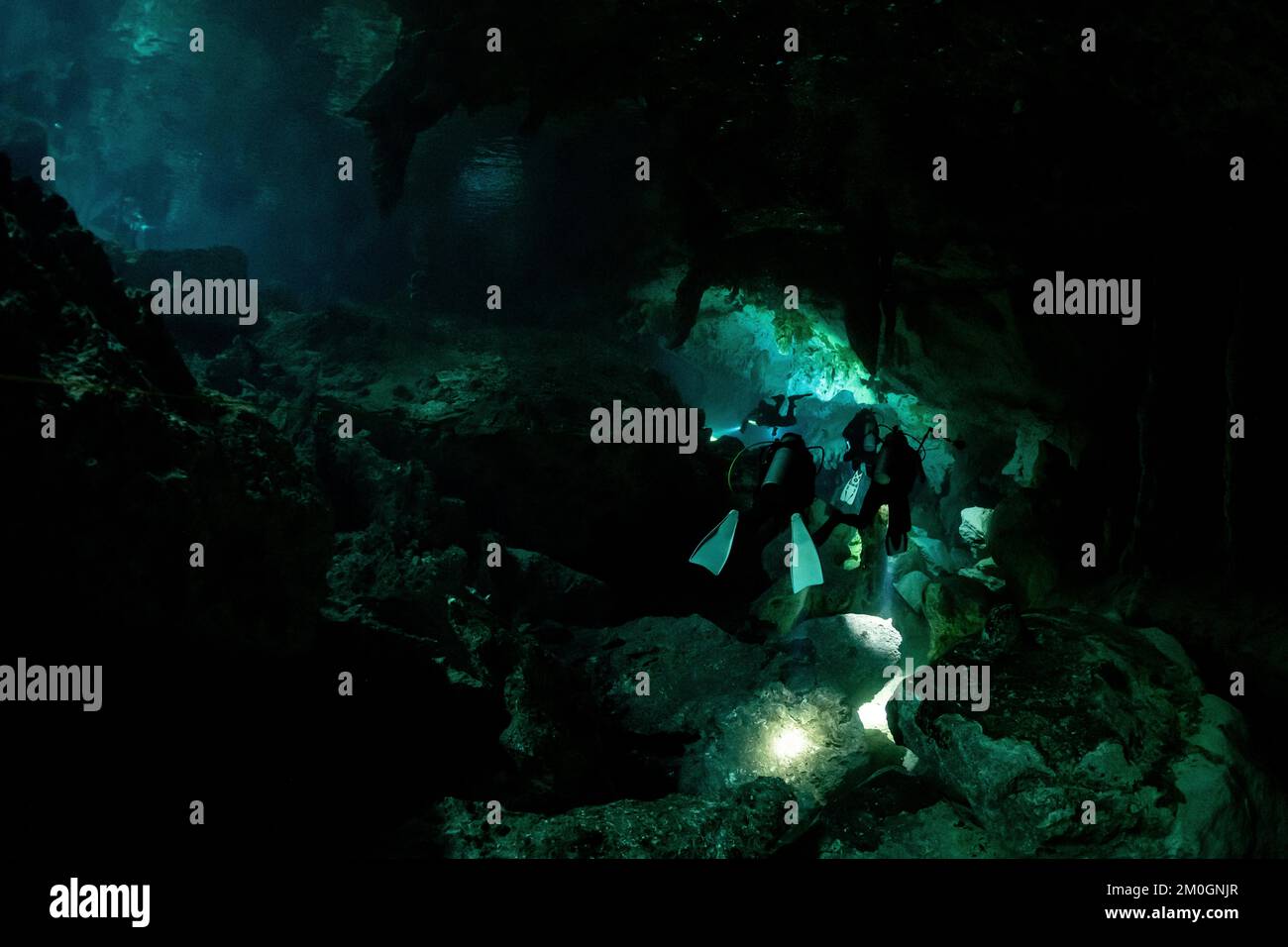 cave diver instructor leading a group of divers in a mexican cenote ...