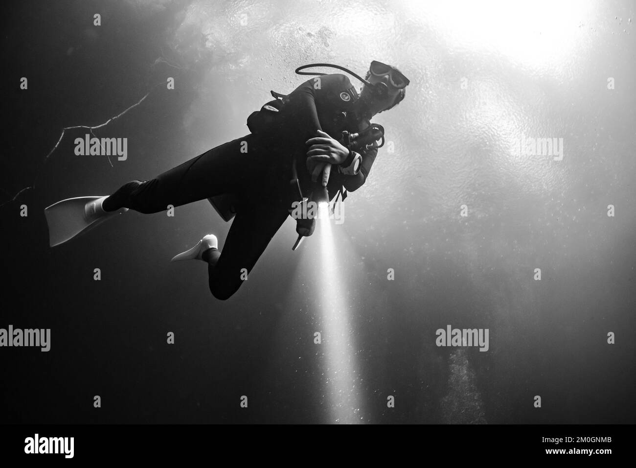 cave diver instructor leading a group of divers in a mexican cenote ...