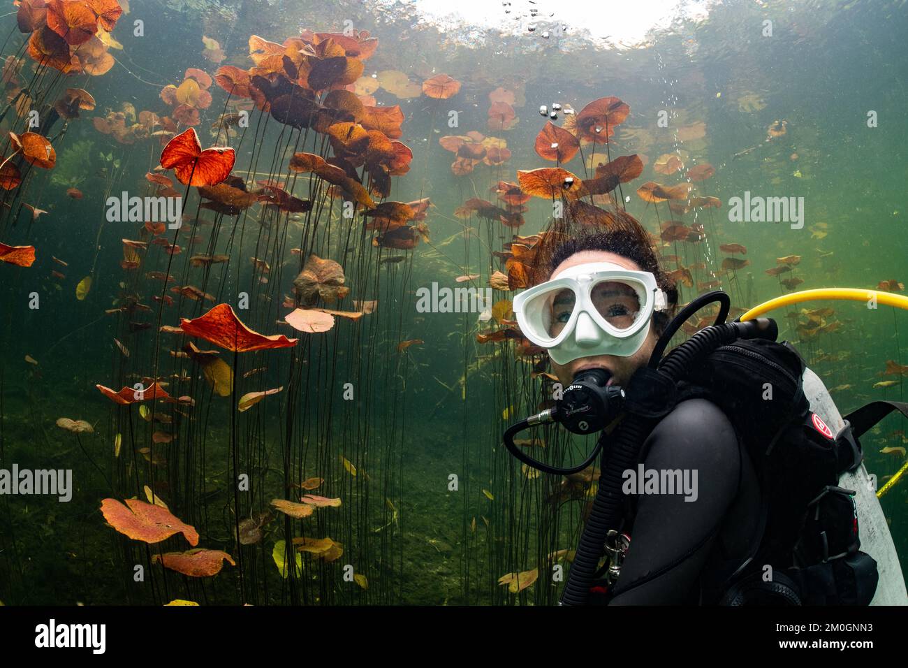 Scuba diving underwater with a car hi-res stock photography and images ...