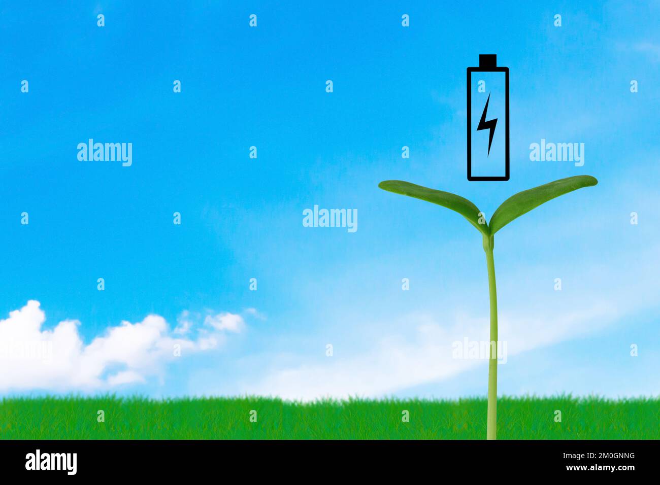 Green energy concept, charging plant on grass background, nature and ...