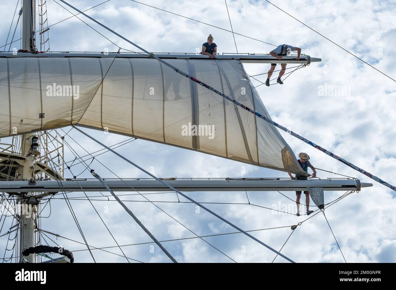 Tenacious tall ship wheelchair hi-res stock photography and images - Alamy